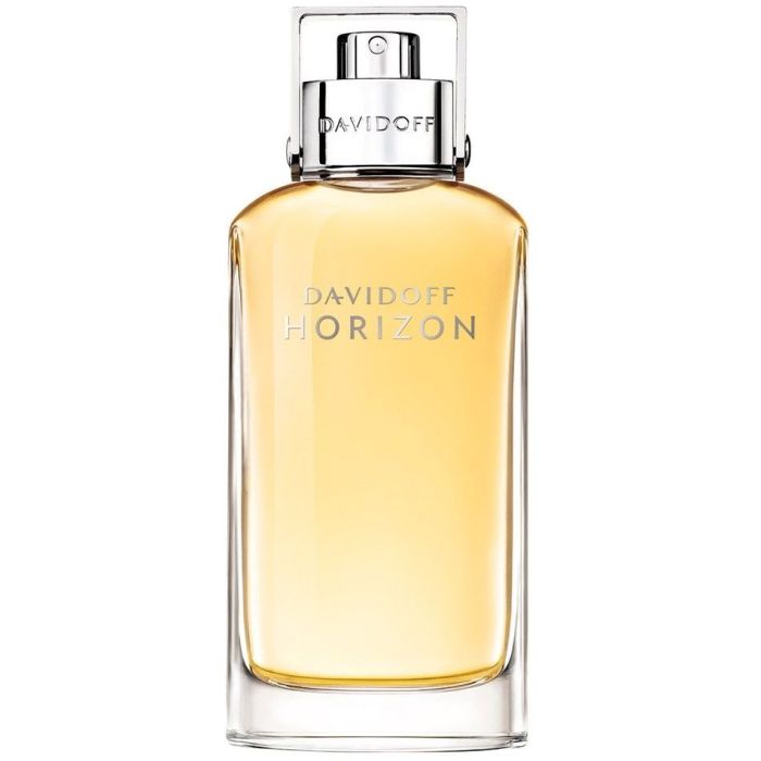 Davidoff Horizon 75ml EDT For Men - New Product / Damage Box